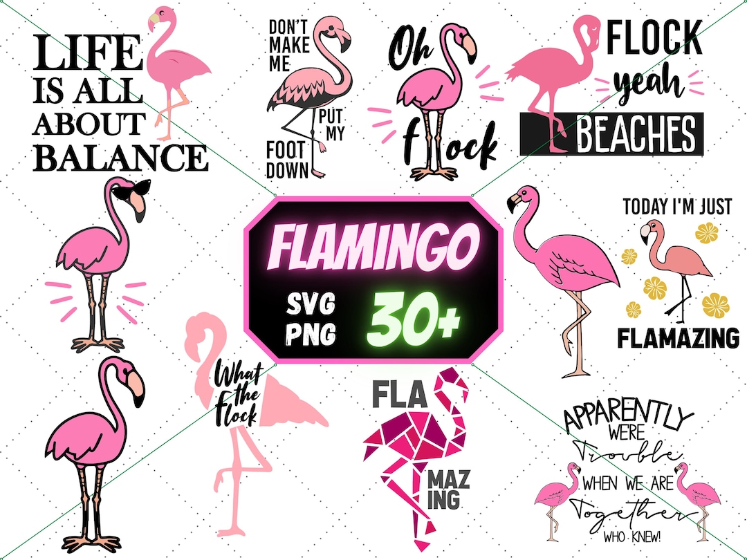 FLAMINGO SVG BUNDLE , Flamingo Svg, Flamingo Cut File , Bird Svg ...