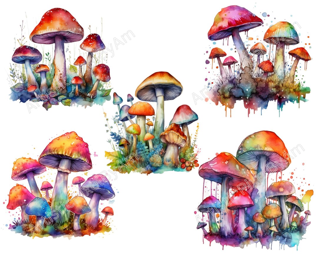 Rainbow IV Mushrooms Clipart Bundle of Five Watercolor - Etsy