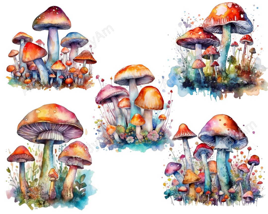 Rainbow II Mushrooms Clipart Bundle of Five Watercolor - Etsy