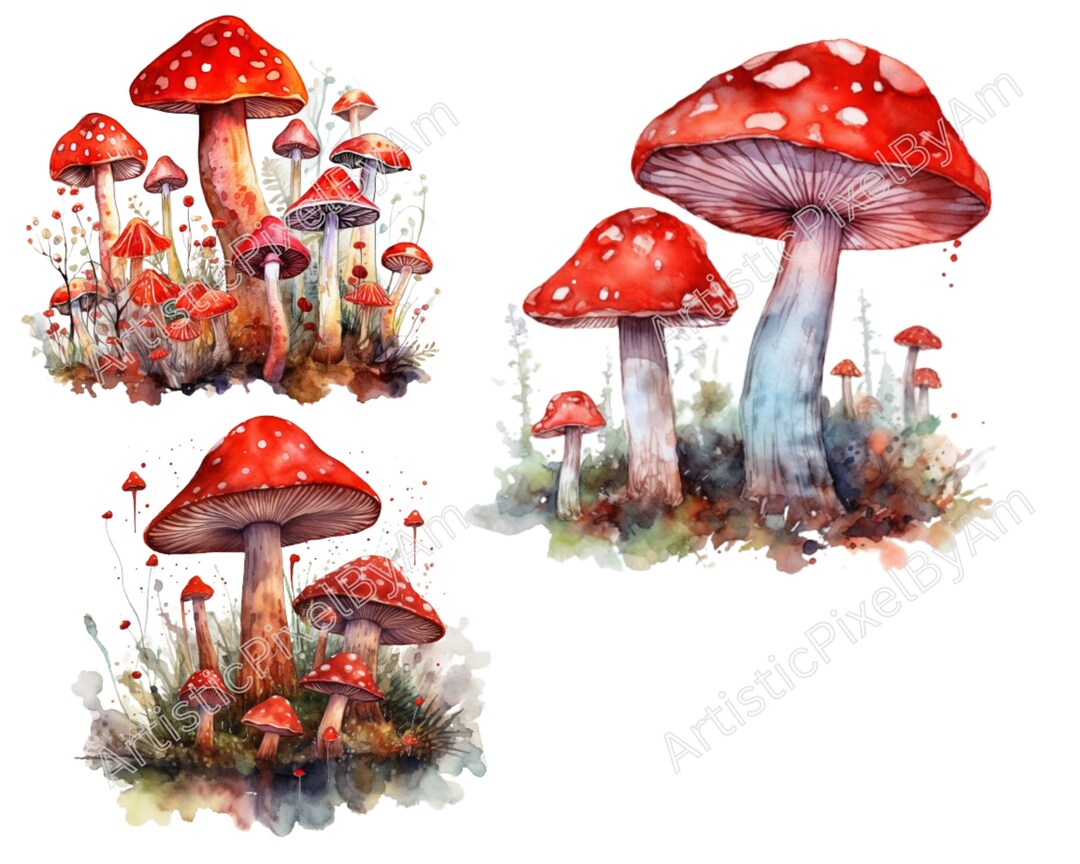 Red Mushrooms Clipart Bundle of Three Watercolor Forest Art - Etsy
