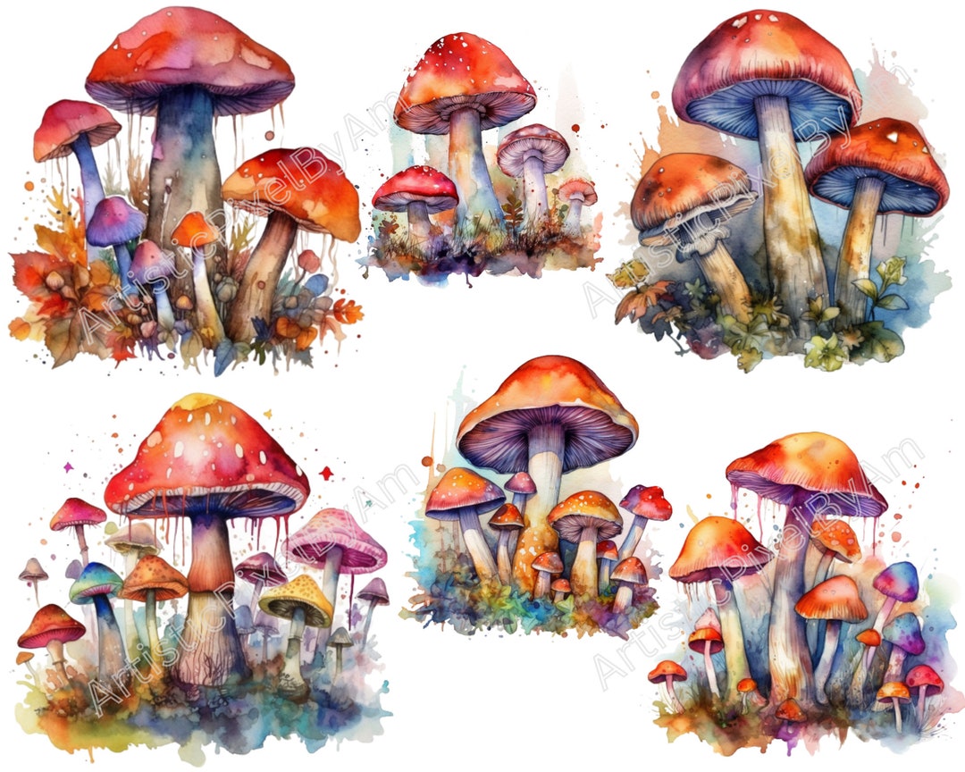 Rainbow V Mushrooms Clipart Bundle of Six watercolor Forest Fantasy ...