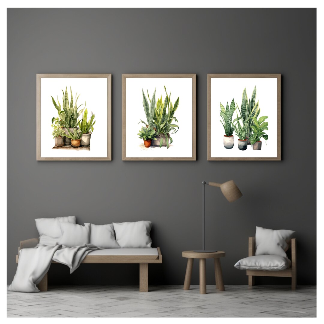 Serene Snake Plant Ensemble, Digital Artwork, 3 Image Pack, Instant ...