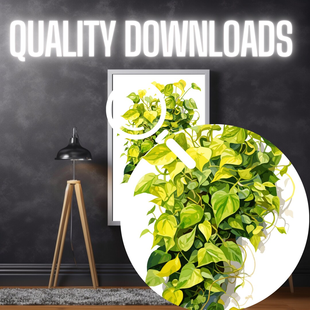 Pothos Ensemble, Digital Artwork, 3 Image Pack, Instant Download ...