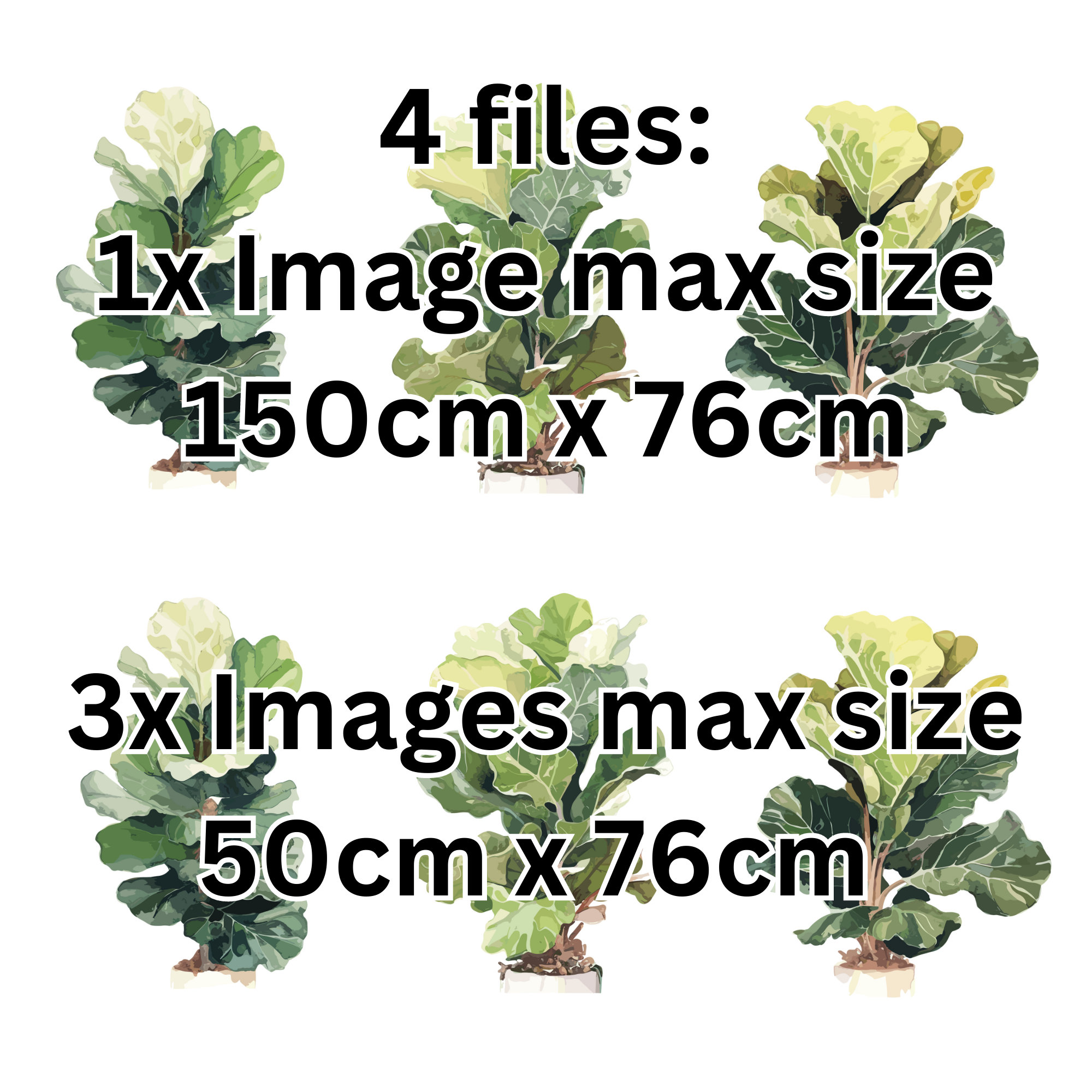Fiddle Leaf Fig Ensemble, Digital Artwork, Digital Downloads, High ...