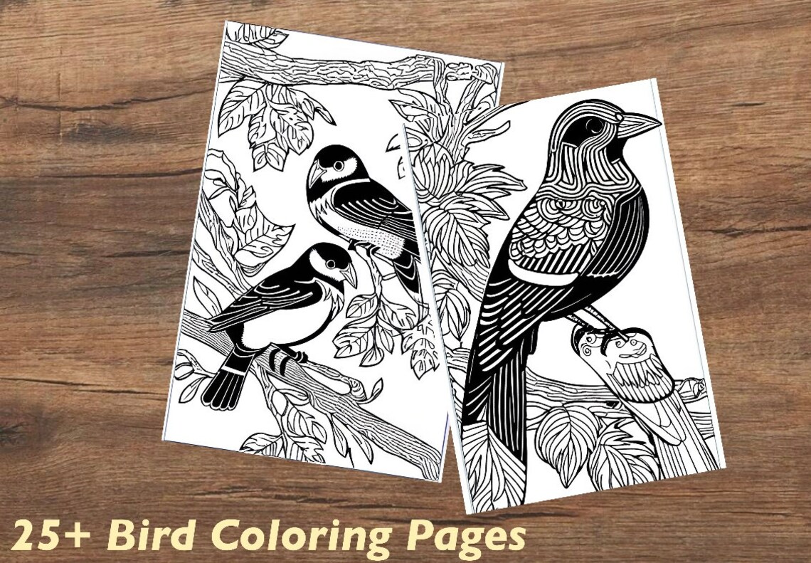 25+ Bird Coloring Pages | PDF Download | for Kids, Boys, Girls, Teens ...