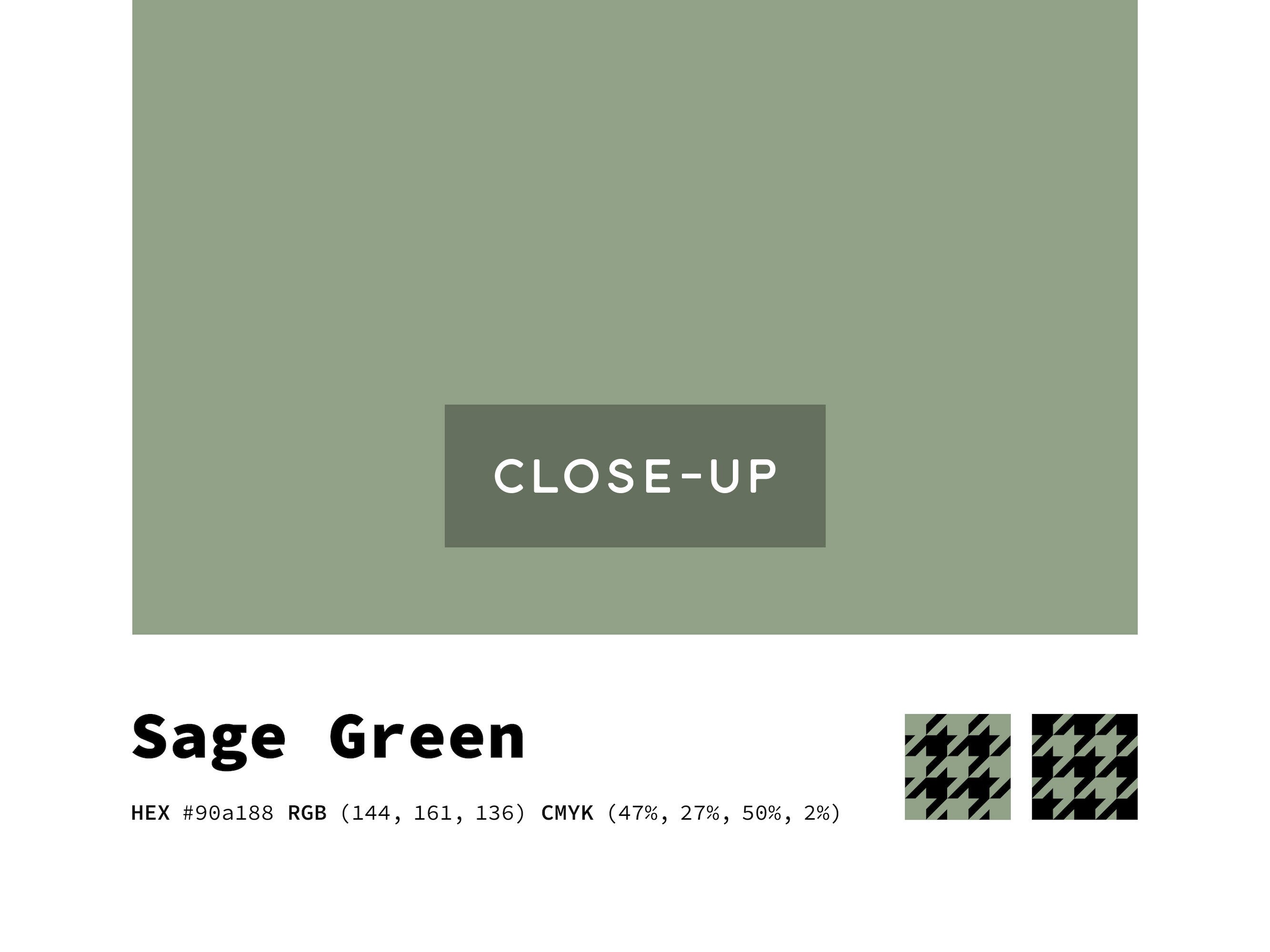 Sage Green Wall Art Color Swatch Poster Color Swatch Wall - Etsy