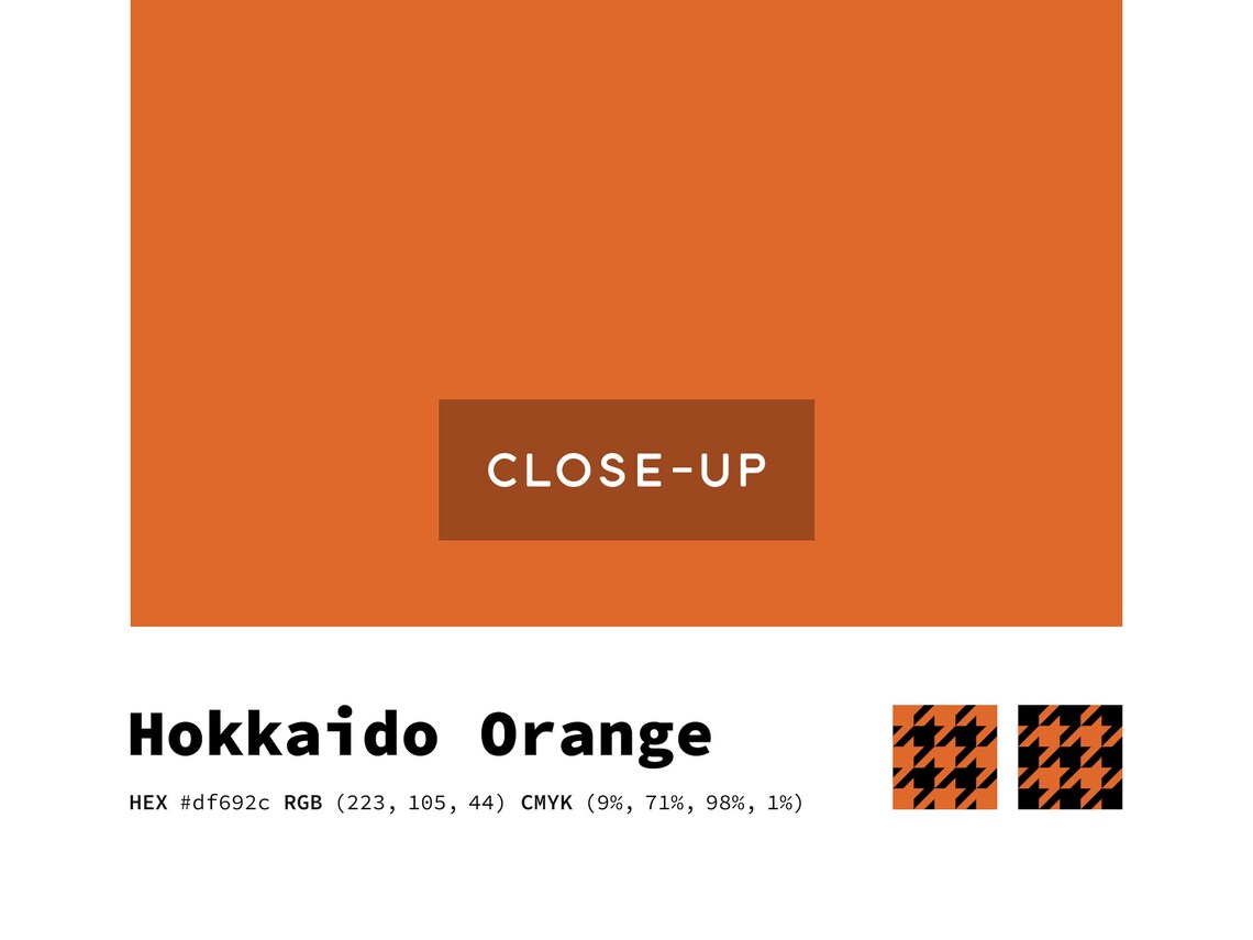 Color Swatch Poster, Color Swatch Wall Art, Hokkaido Orange Color ...