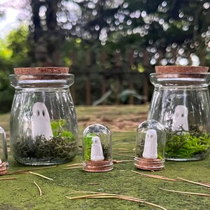 Adopt a Ghost! Ghost in a Jar. - Etsy UK