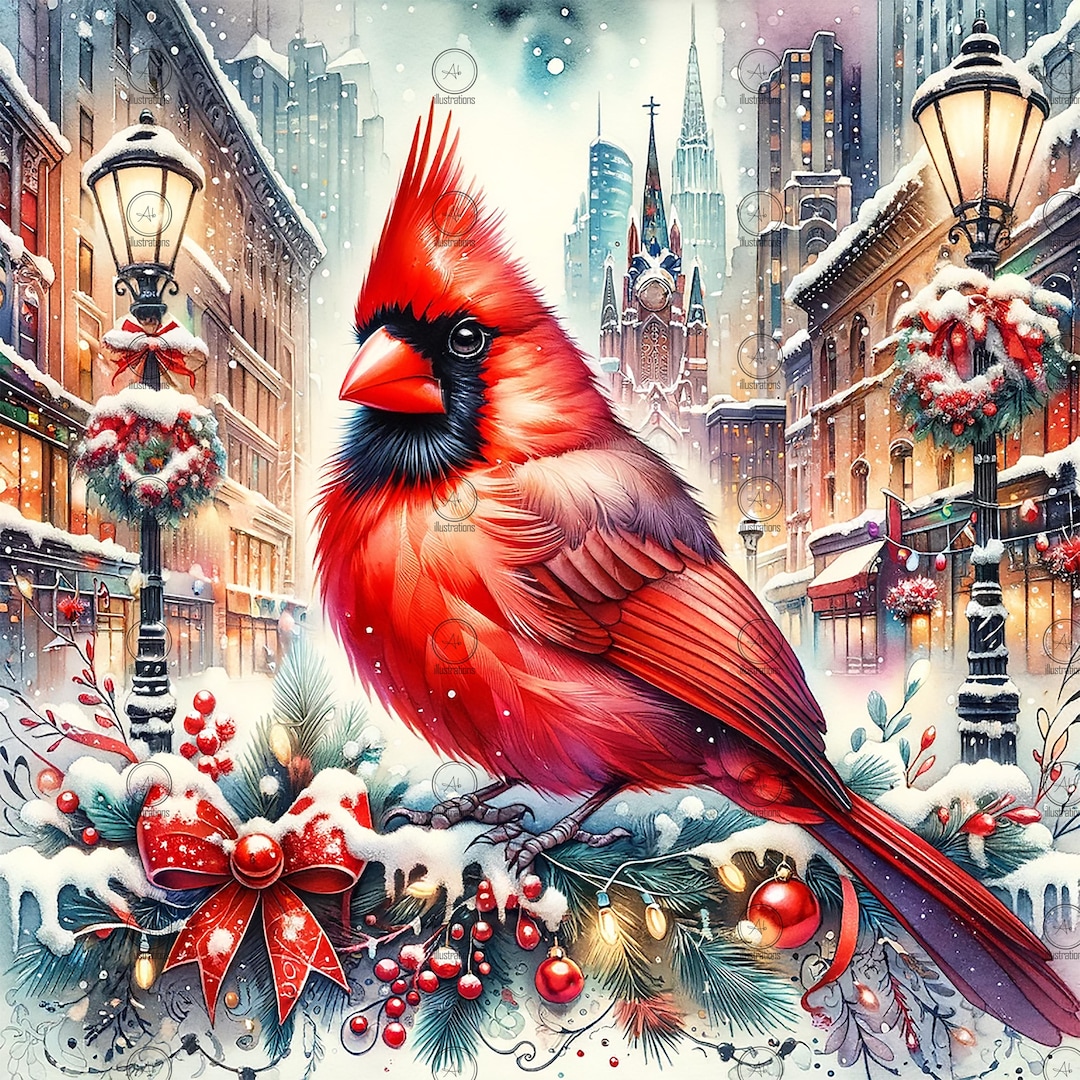 Cardinal Bird Png, Cardinal Bird Design, Cardinal Sublimation Design ...