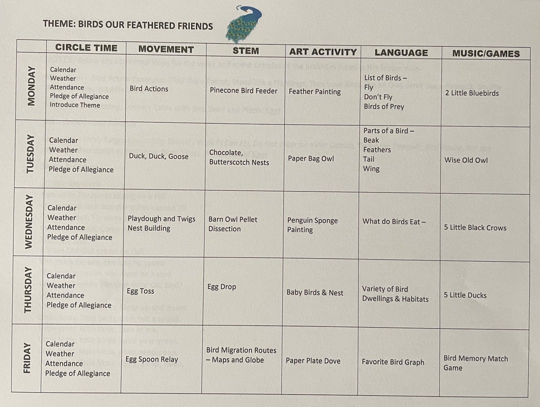 Lesson Plan Birds - Etsy