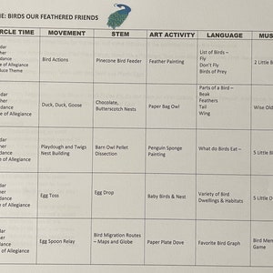 Lesson Plan Birds - Etsy