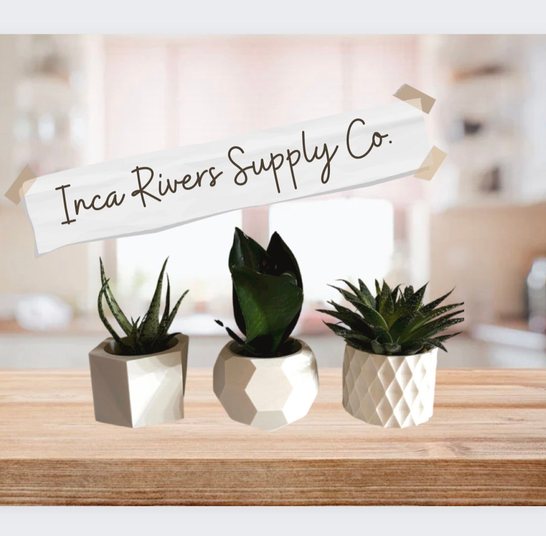 Set of 3 Unique Indoor Plant Pots - Etsy