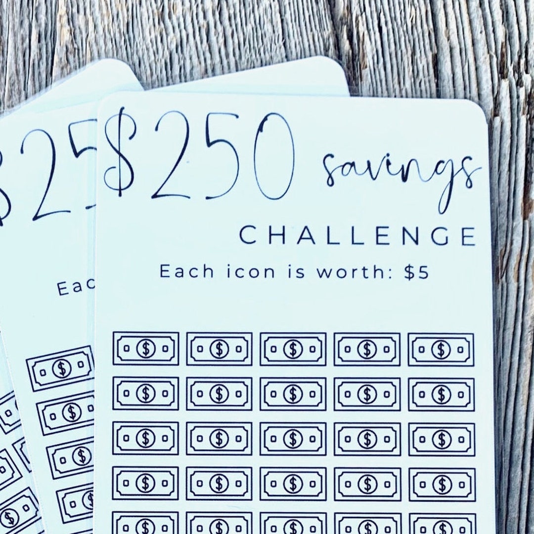 250 Saving Challenge | Emergency Sinking Fund | Cash Budgeter | Low ...