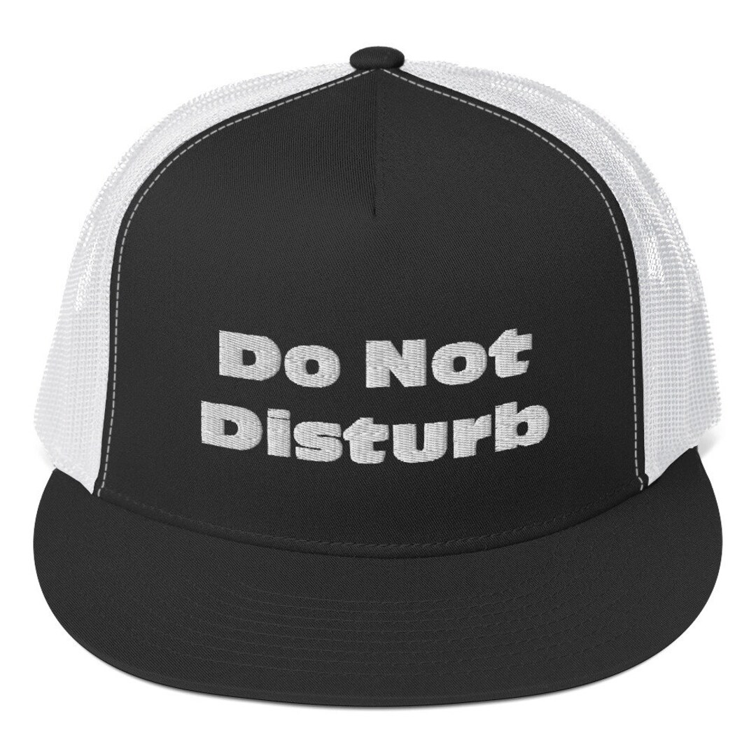 Do Not Disturb Trucker Cap, Funny Hat, Joke Hat, Dad Joke Hats, Gifts ...