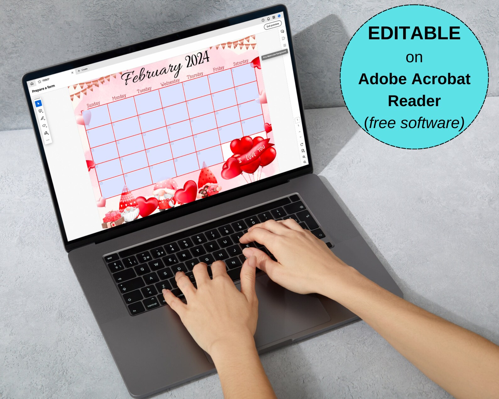 EDITABLE February 2024 Calendar Printable, 2024 February Planner ...