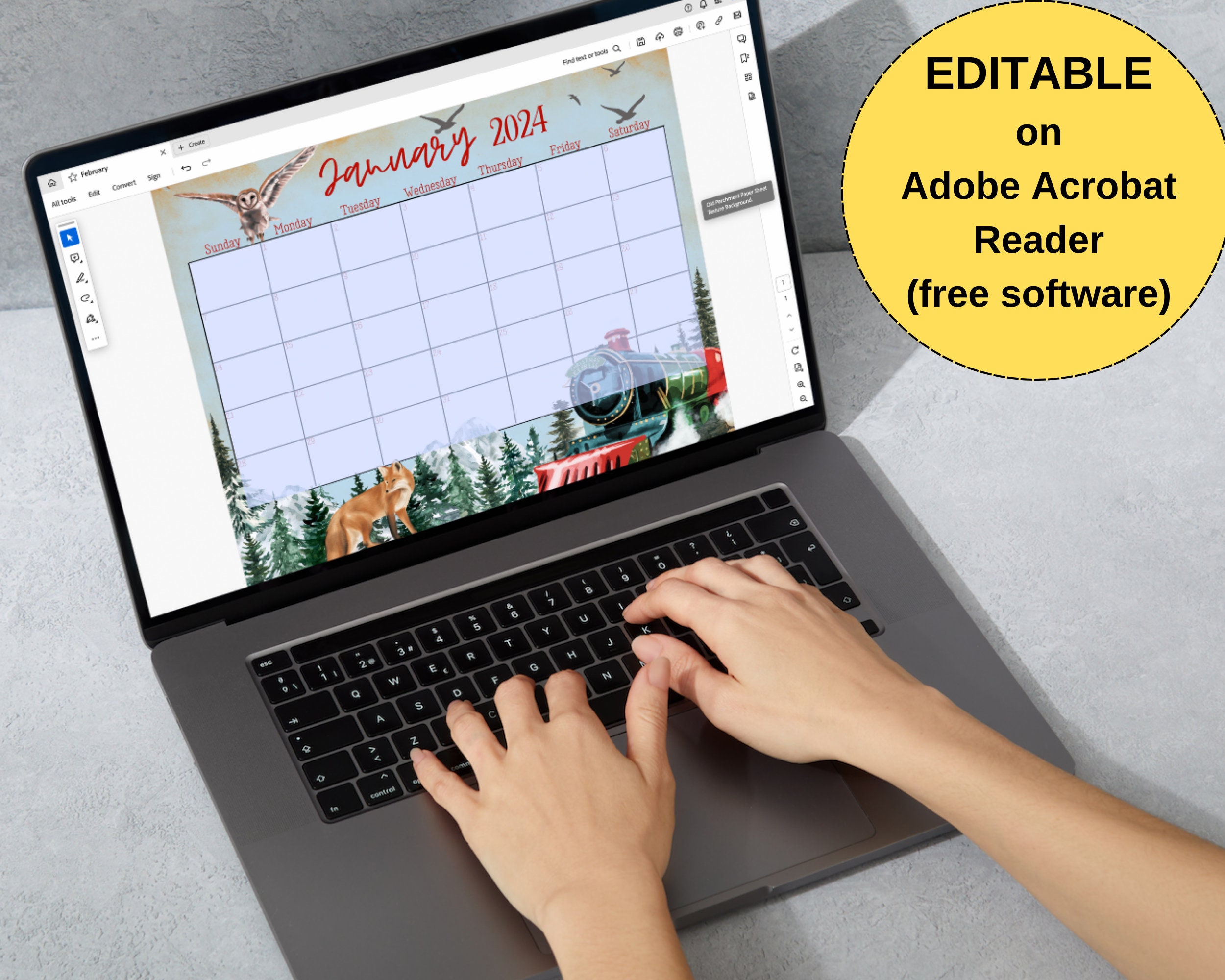 EDITABLE January 2024 Calendar Printable, 2024 January Planner, January ...