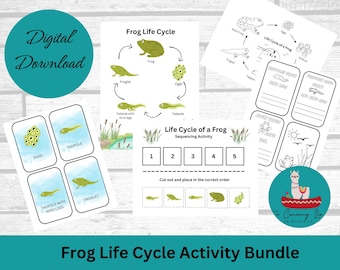 Foldable Frog Life Cycle Learning Activity for Kids A4 and - Etsy Singapore
