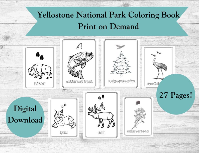 Páginas para colorear del Parque Nacional de Yellowstone: 27 diseños ...