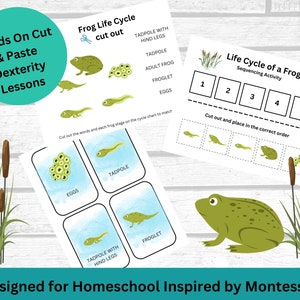 Frog Life Cycle Printable Bundle: Kids Learning Activity (digital ...