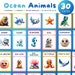 Printable Ocean Animals Flashcards, 30 Montessori Cards Animals Flash ...