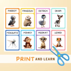 Printable Safari Animals Flashcards, 30 Montessori Cards Animals Flash ...