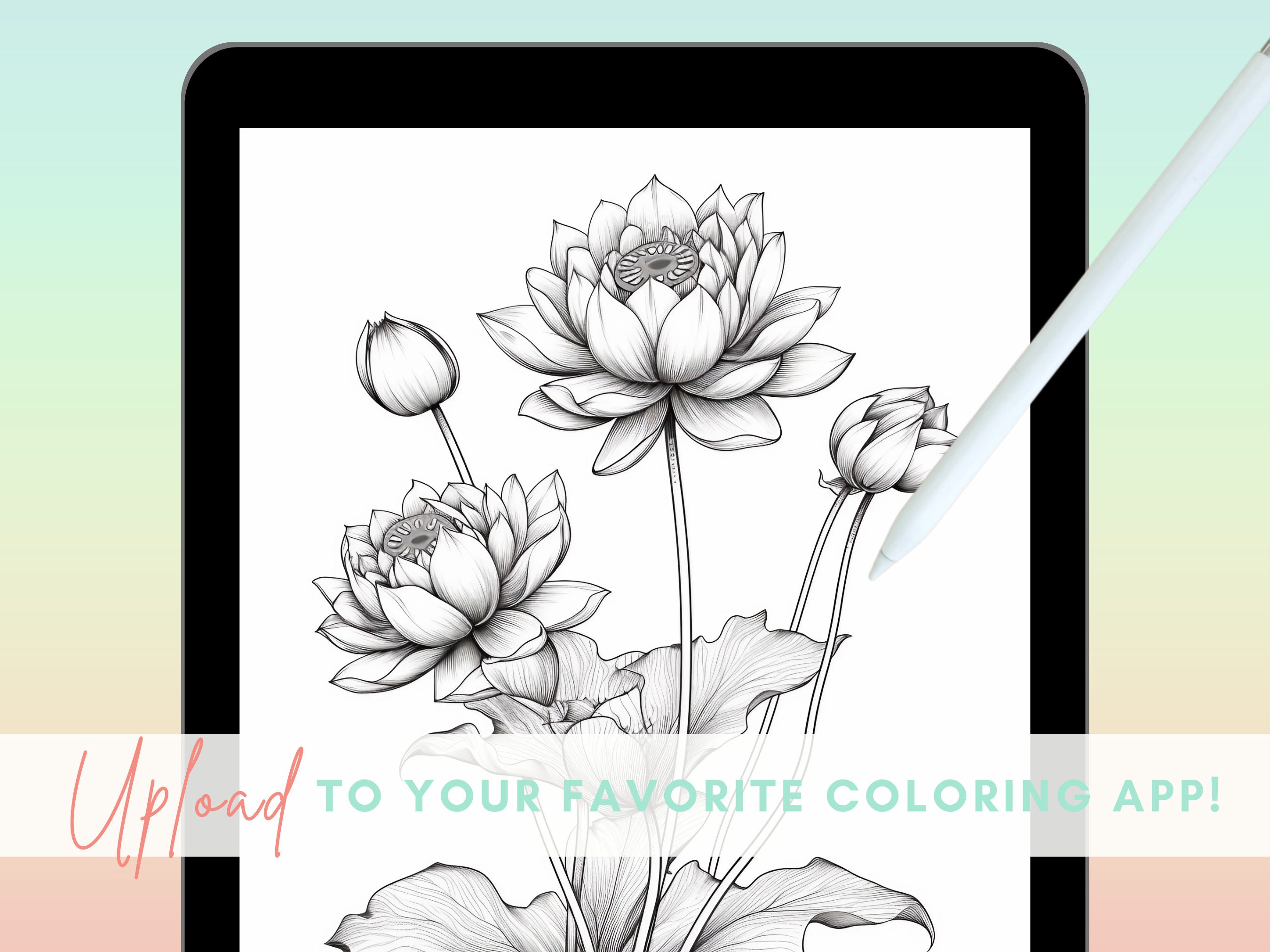 Flowers Coloring Book Volume #2, 24 Floral Coloring Pages, Adult ...