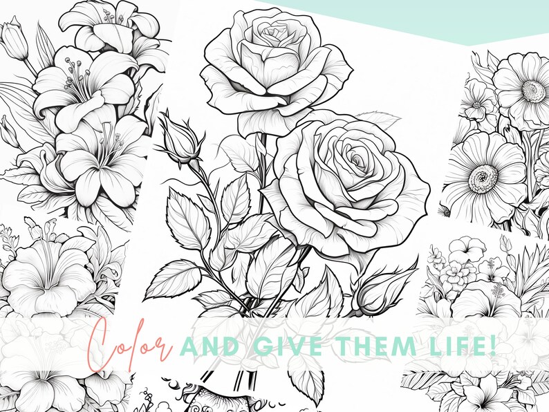 Flowers Coloring Book Volume #2, 24 Floral Coloring Pages, Adult ...