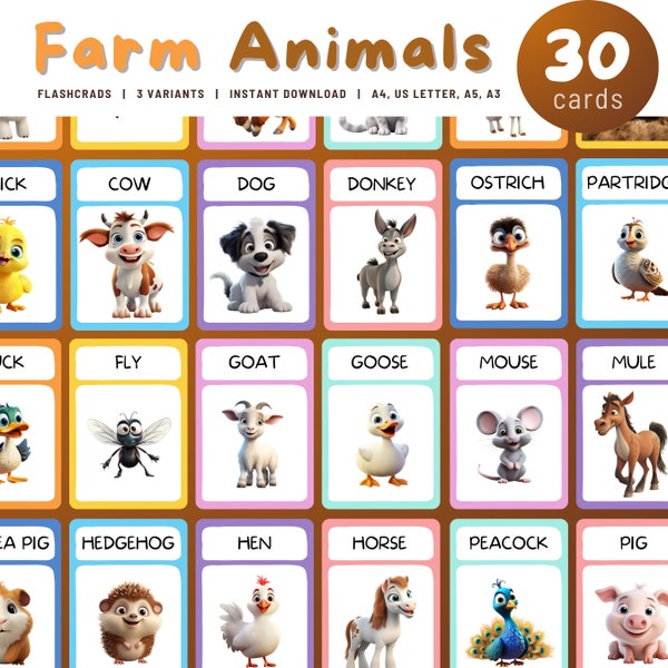 Animal Flash Cards - Etsy