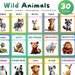 Printable Wild Animals Flashcards, 30 Montessori Cards, Animals Flash ...