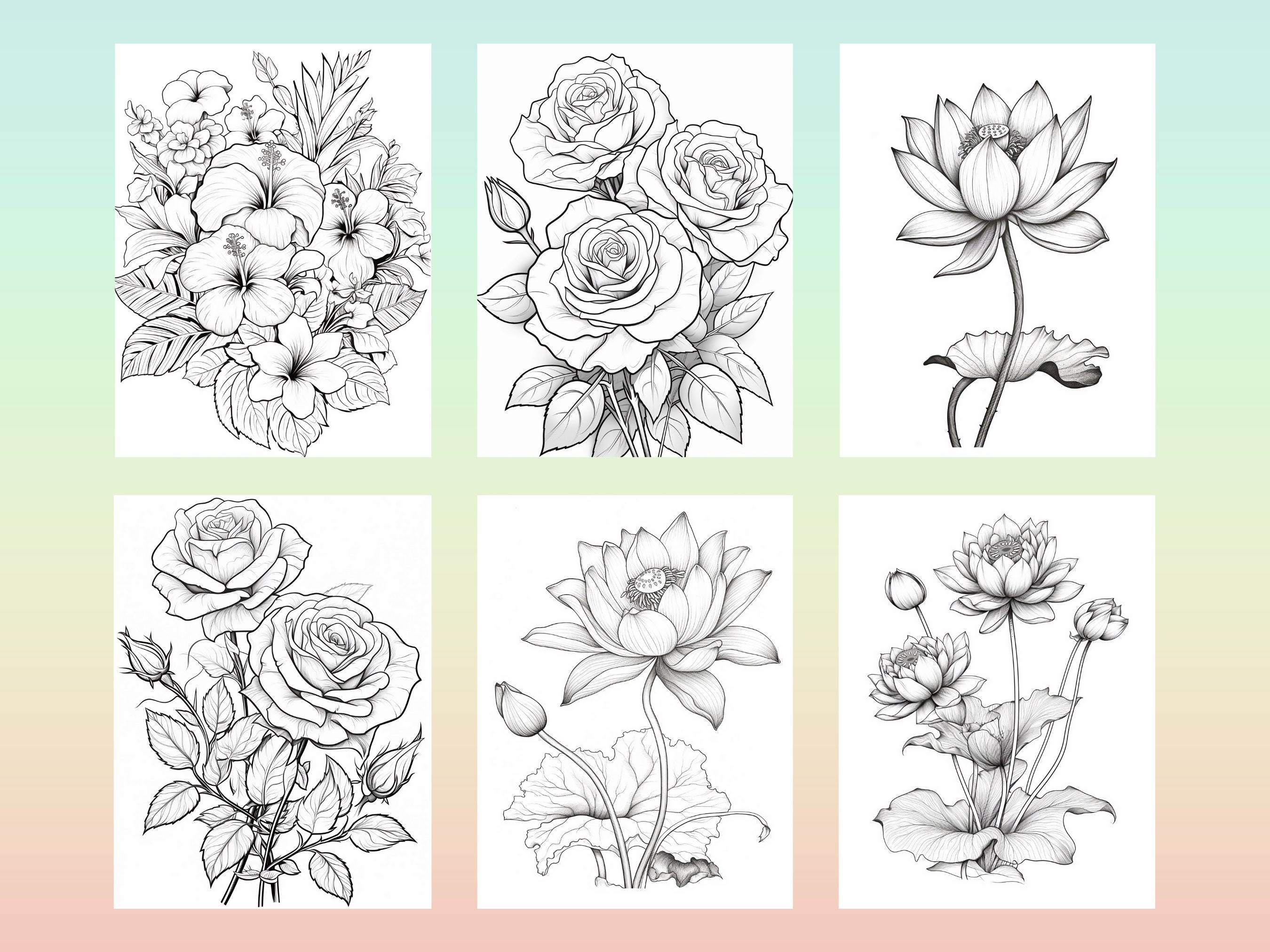 Flowers Coloring Book Volume #2, 24 Floral Coloring Pages, Adult ...