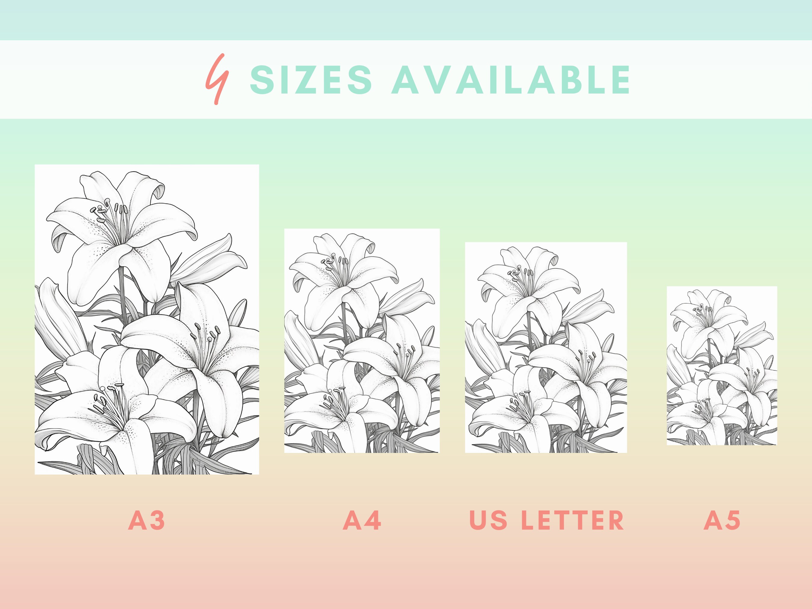 Flowers Coloring Book Volume #2, 24 Floral Coloring Pages, Adult ...