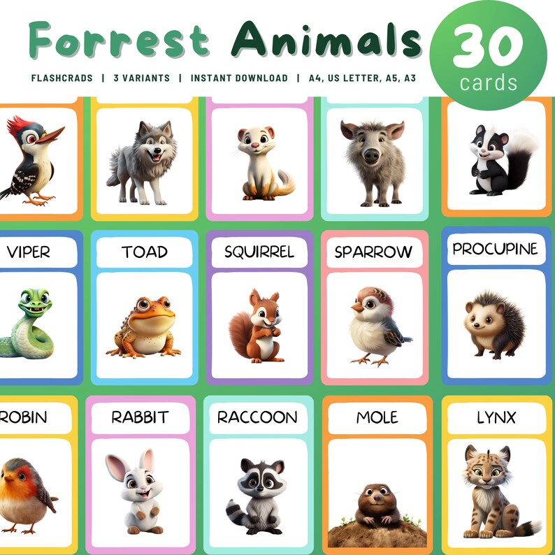 Printable Forrest Animals Flashcards, 30 Montessori Cards Animals Flash ...