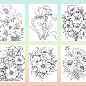 Flowers Coloring Book Volume #2, 24 Floral Coloring Pages, Adult ...