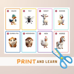 Printable Farm Animals German-english Flashcards, 30 Bilingual ...