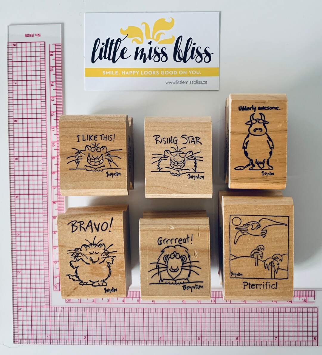 Vintage Rubber Stamps - Sandra Boynton Pt. 1 - Teacher Stamps 10 - Etsy