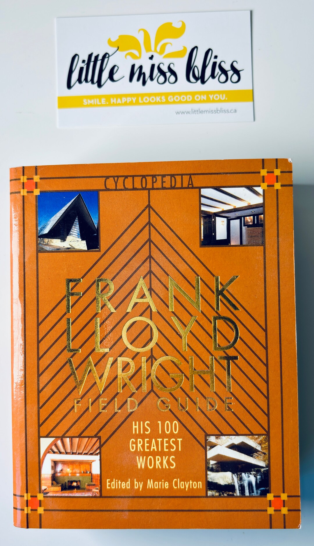 Frank Lloyd Wright Field Guide His 100 Greatest Works - Etsy