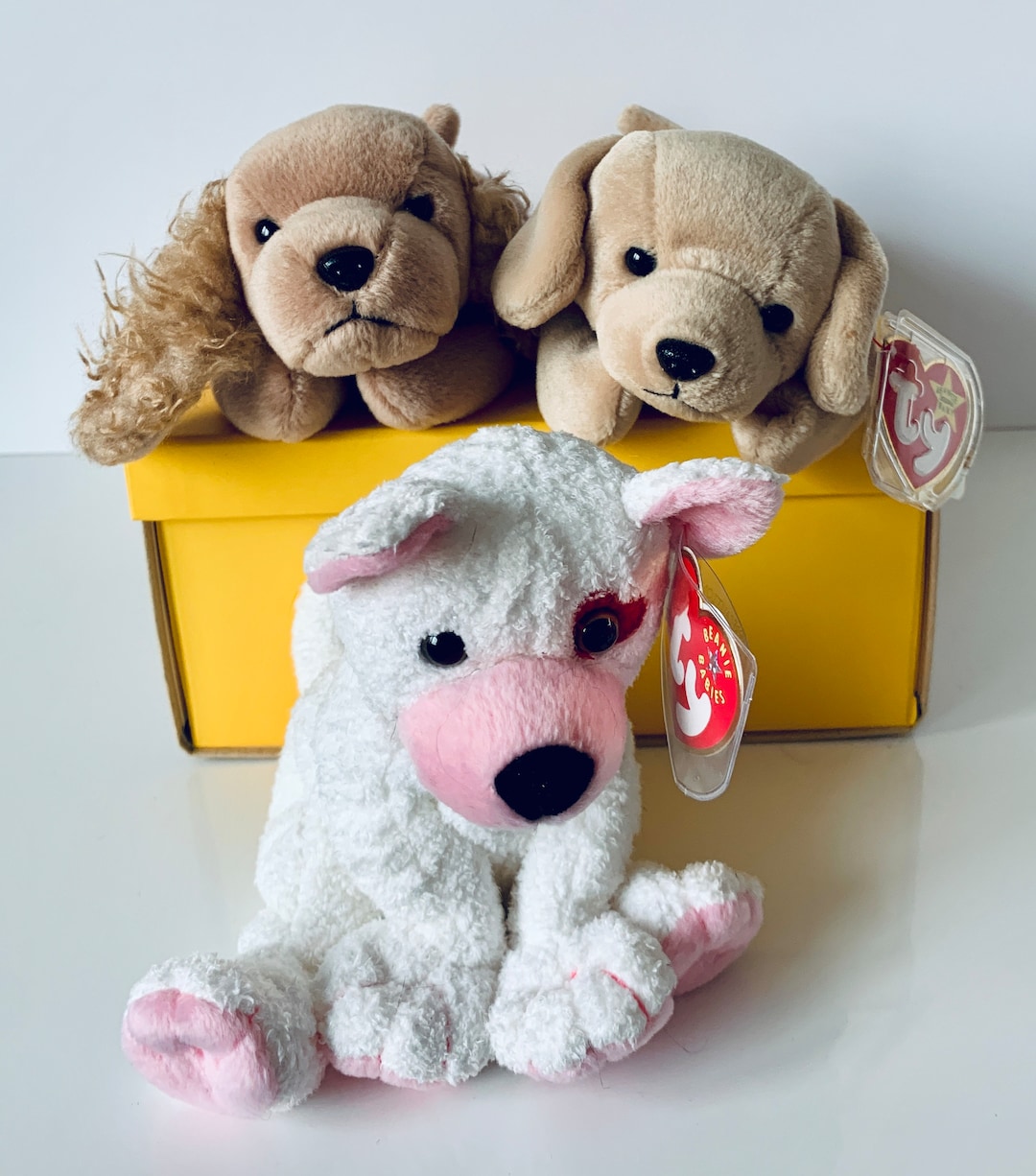 TY Beanie Babies Spunky, Fetch, Cupid - Etsy
