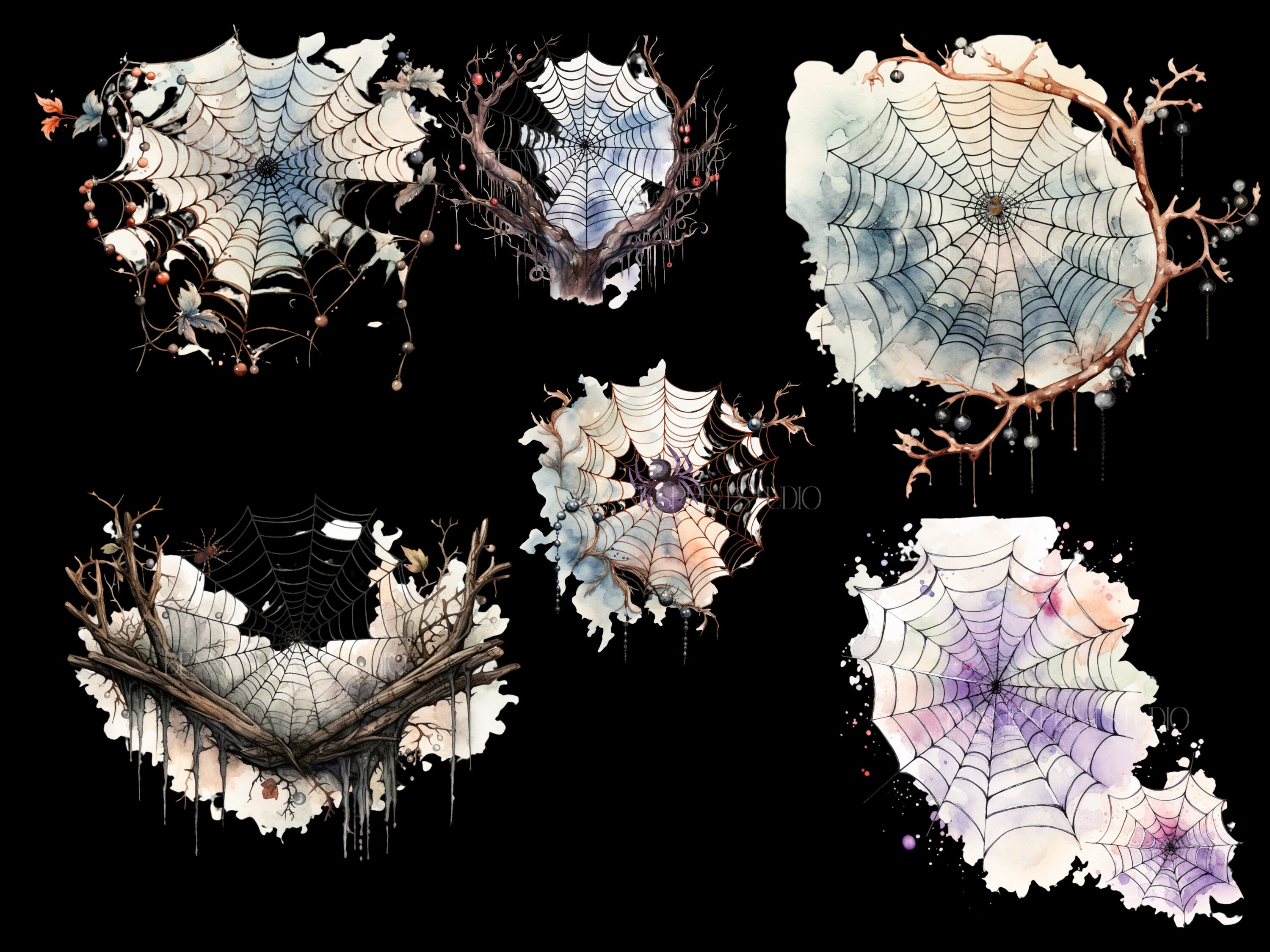 18 Watercolor Eerie Spiders Cobweb Digital Clip Art - Etsy