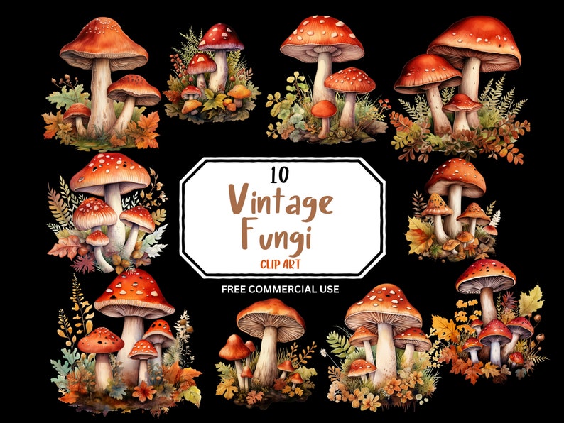 10 Watercolor Vintage Fungi Mushroom Clip Art Pack/digital - Etsy