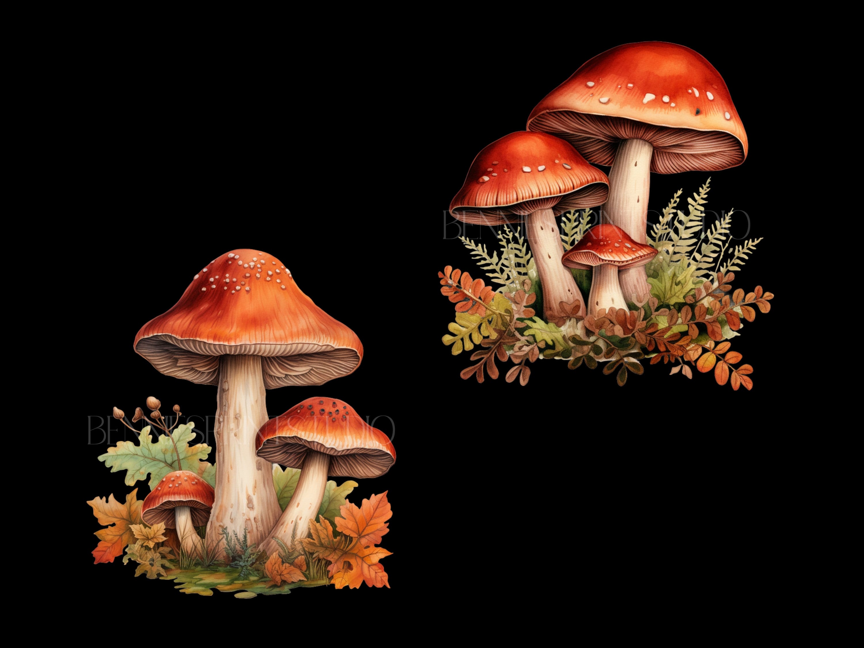 10 Watercolor Vintage Fungi Mushroom Clip Art Pack/digital Download ...