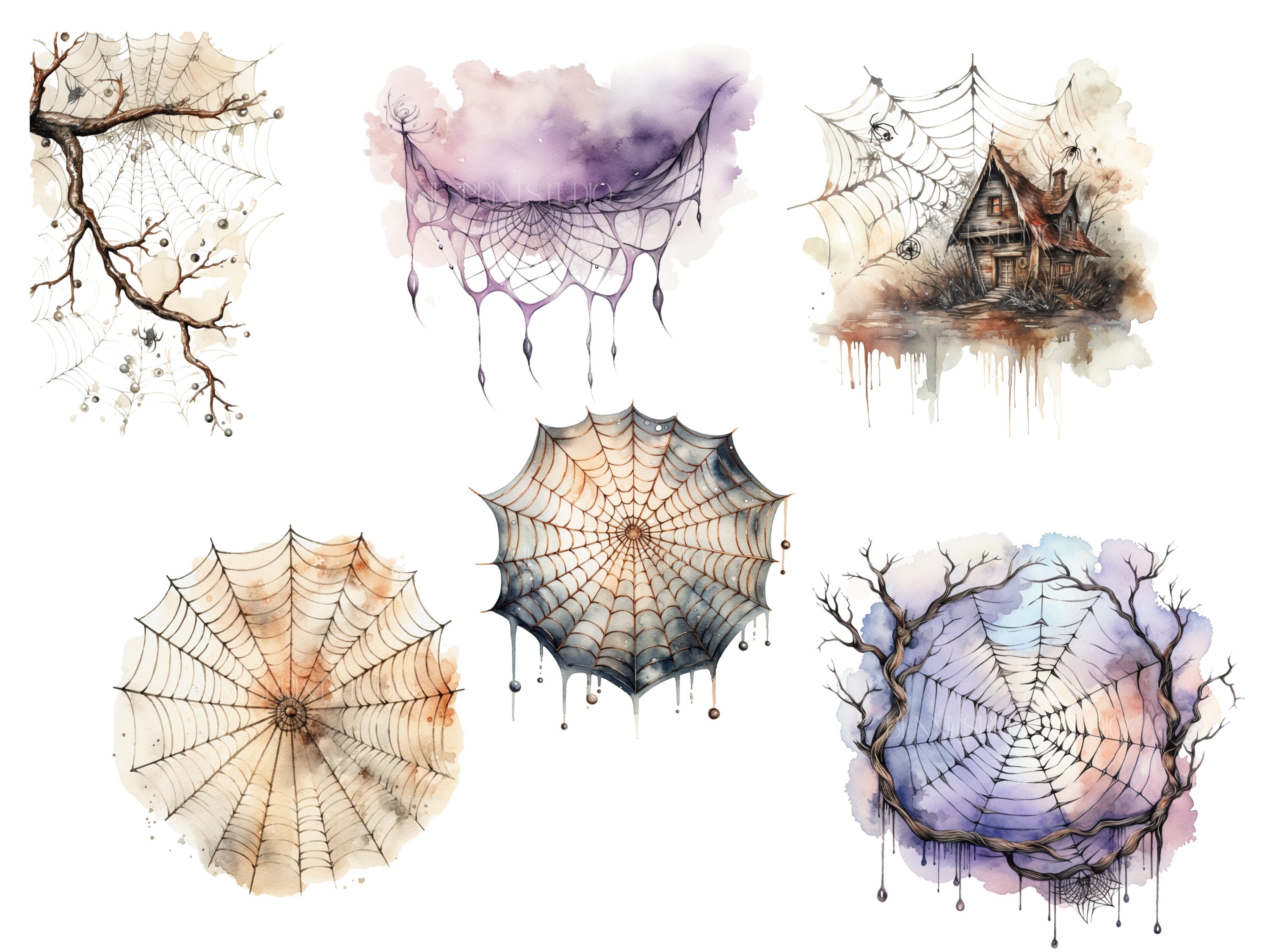 18 Watercolor Eerie Spiders Cobweb Digital Clip Art - Etsy