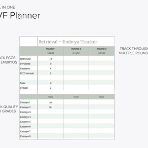Digital IVF Tracker for Google Sheets - Keep Your Fertility Journey on ...