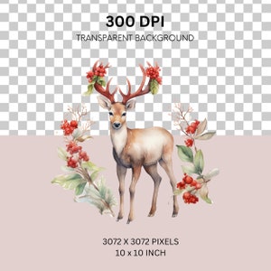 Christmas Reindeer Watercolor Clipart Bundle, Transparent PNG, Cute ...