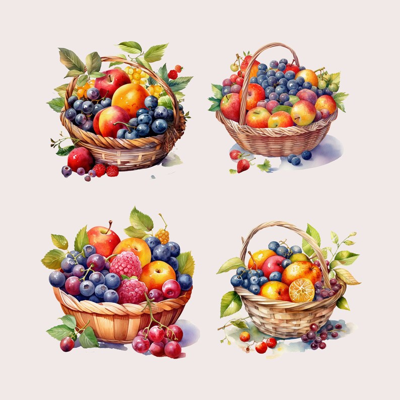 Fruit Basket Clipart Bundle Transparent PNG Summer Harvest - Etsy