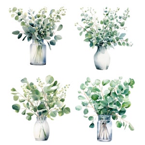 Eucalyptus Vase Clipart Bundle, Transparent Png,digital Download Card ...