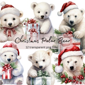 Christmas Polar Bear Watercolor Clipart Bundle, Transparent PNG, Cute ...