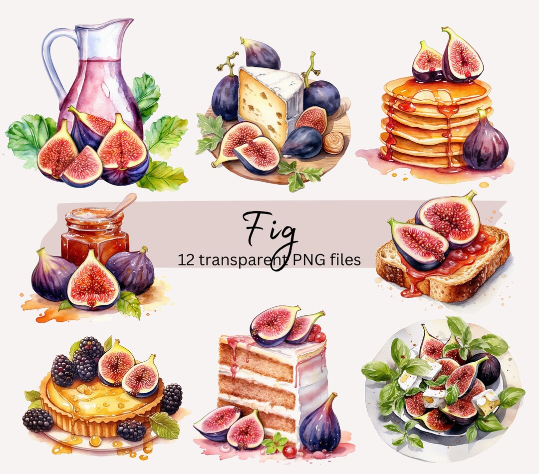 Watercolor Fig Clipart Bundle, Transparent PNG, Digital Download ...