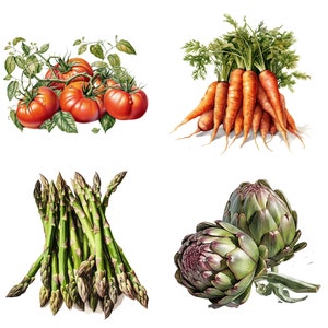 Vegetables Clipart Bundle, Transparent PNG, Summer Clipart, Digital ...