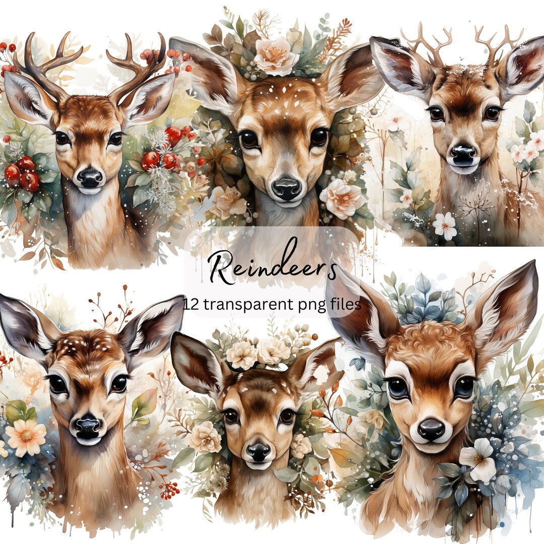 Reindeer Watercolor Clipart, Transparent PNG, Digital Download ...