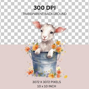 Baby Goat Flower Bucket Watercolor Clipart, Transparent PNG, Digital ...